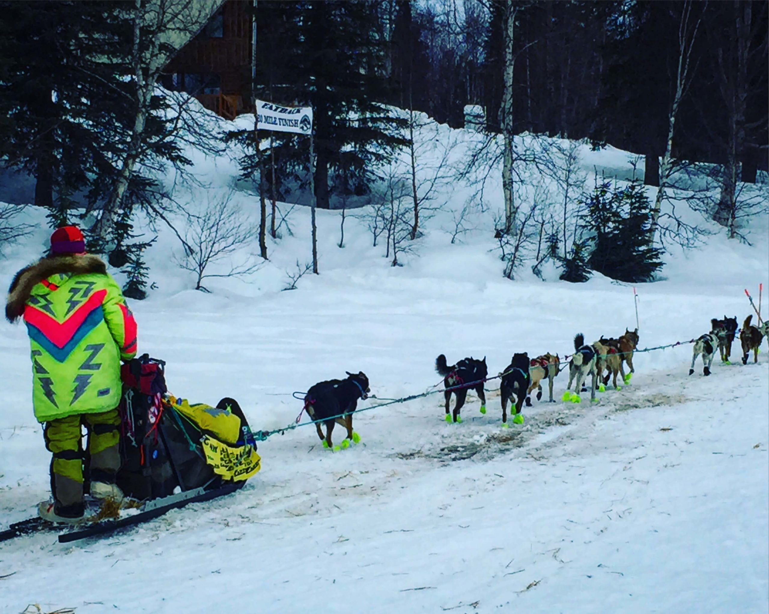 Chase Alaska’s Iditarod by Helicopter - Talaheim Lodge